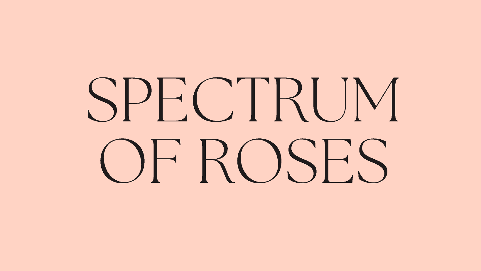 Home - Spectrum of Roses